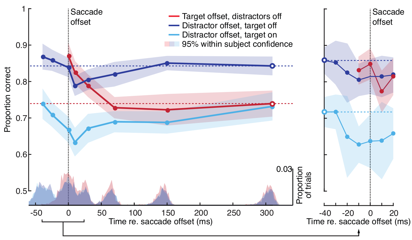 All is not lost: Post-saccadic contributions to the perceptual omission ...