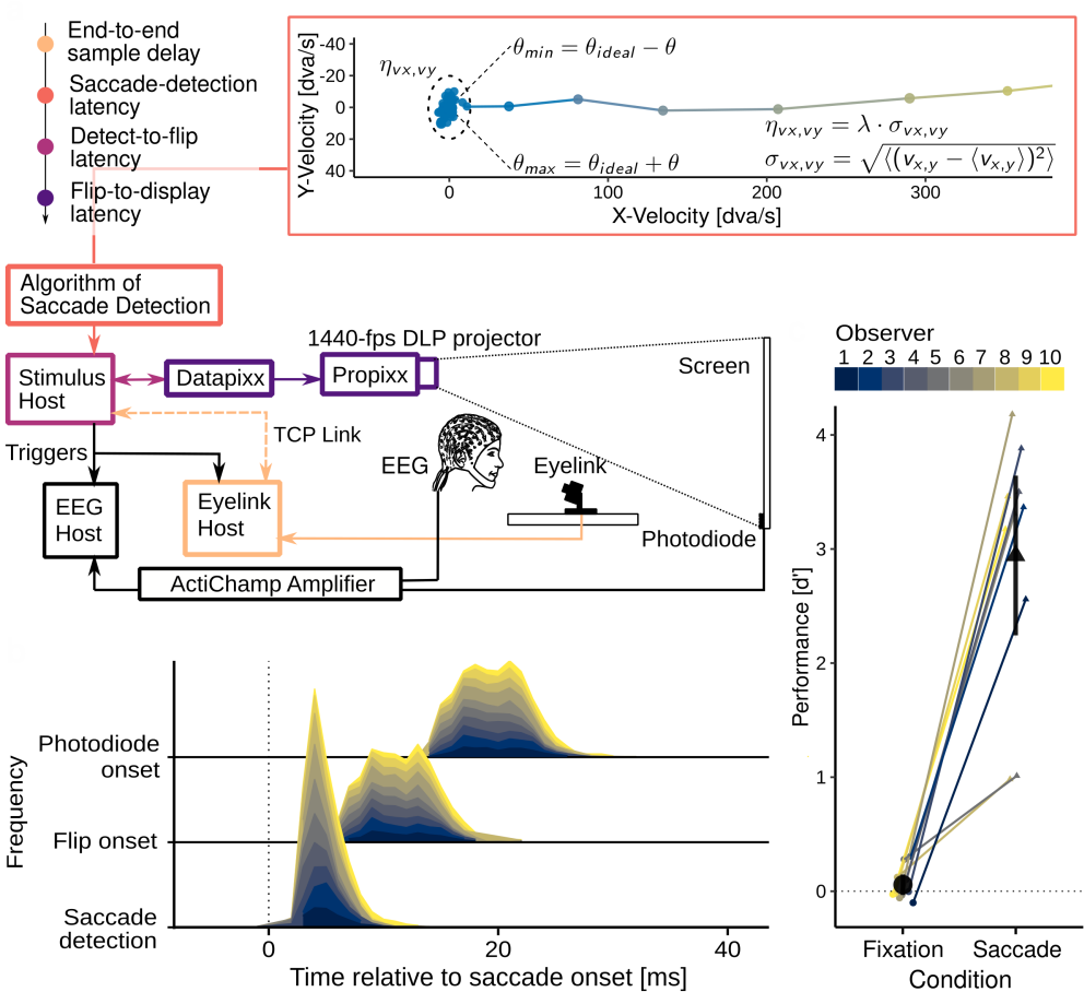 An adaptive algorithm for fast and reliable online saccade detection | Richard Schweitzer