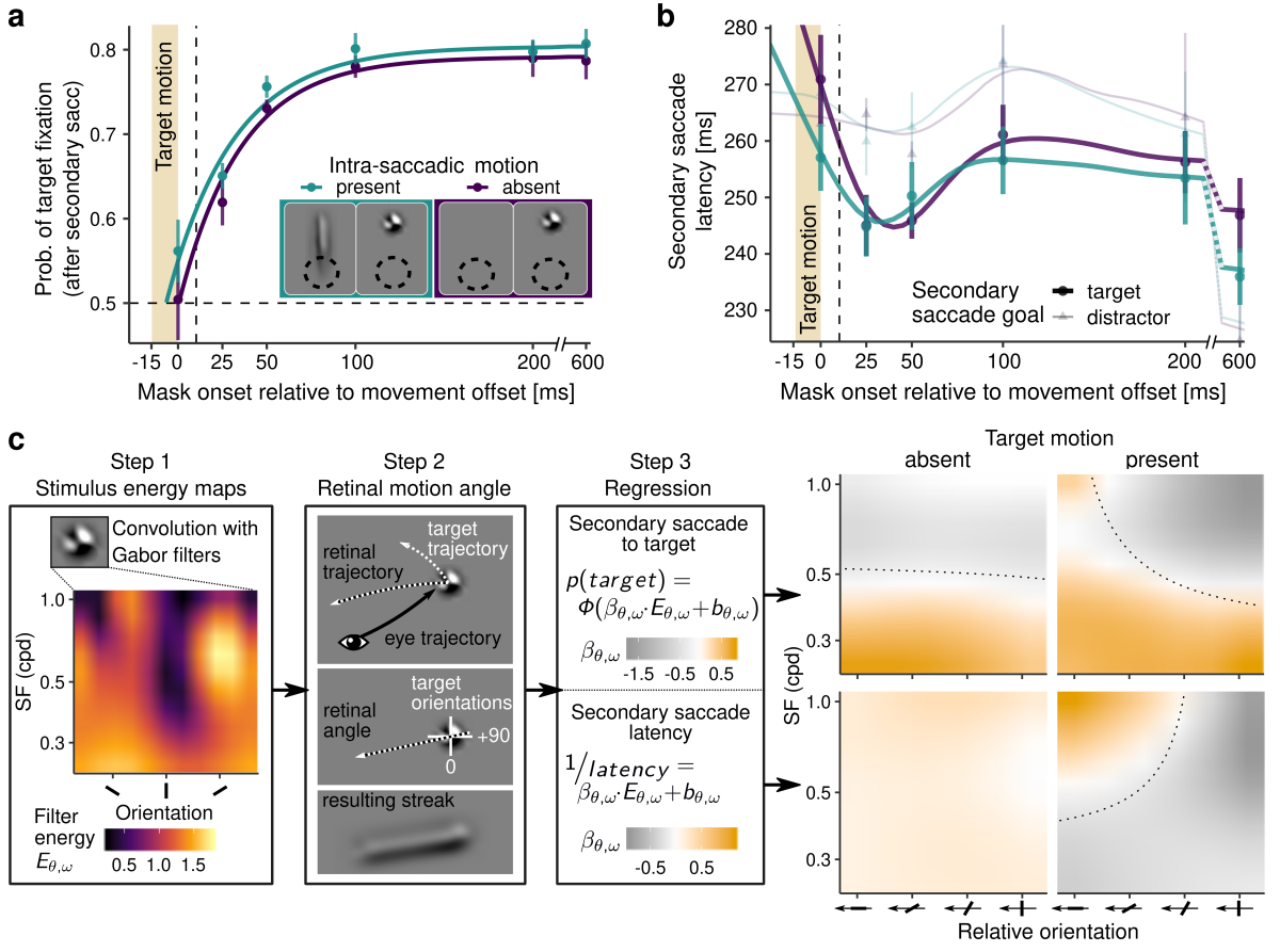Intrasaccadic motion streaks jump-start gaze correction | Richard ...